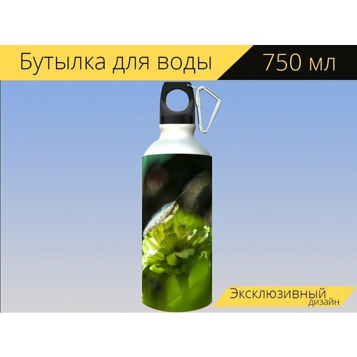 Бутылка фляга для воды "Надувные шарики, бабочка, рамка" 750 мл. с карабином и принтом