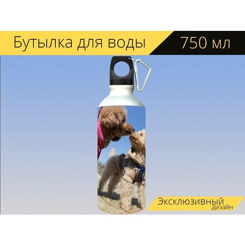 Бутылка фляга для воды "Собака, пудель, животное" 750 мл. с карабином и принтом