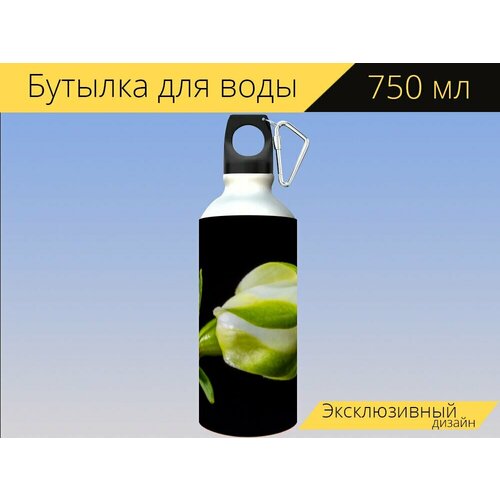 Бутылка фляга для воды "Цвести, цветок, белый зеленый" 750 мл. с карабином и принтом