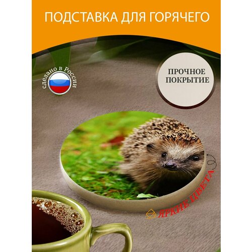 Подставка под горячее "Еж, бродяга, животное" 10 см. из блого мрамора
