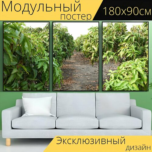 Модульный постер "Сад, манго, фрукты" 180 x 90 см. для интерьера