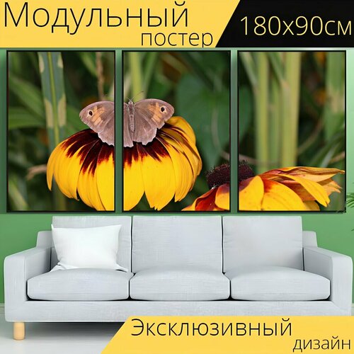 Модульный постер "Бабочка, цветы, лепестки" 180 x 90 см. для интерьера