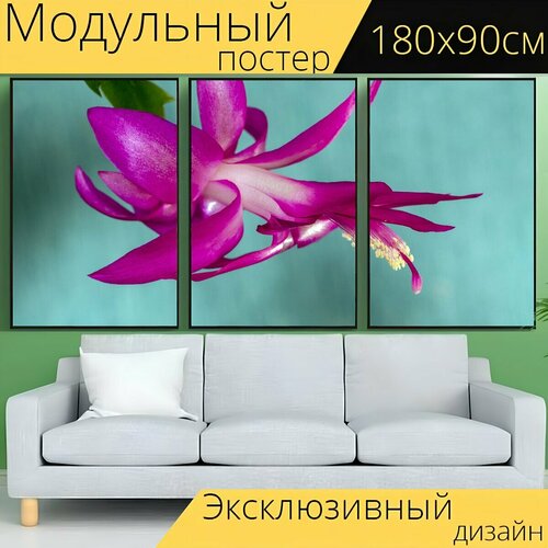 Модульный постер "Кактус, цветок, розовый" 180 x 90 см. для интерьера