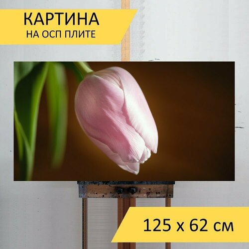 Картина на ОСП 125х62 см. "Тюльпан, цветок, розовый" горизонтальная, для интерьера, с креплениями
