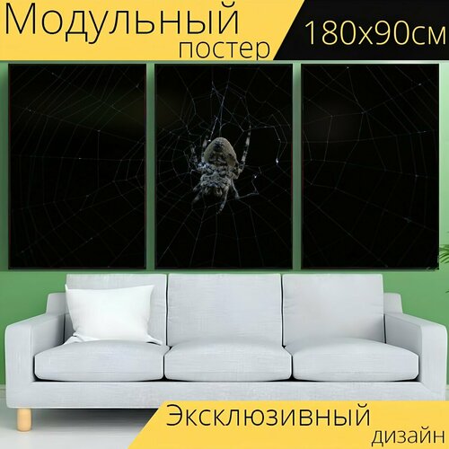 Модульный постер "Ганьсу, линься, паук" 180 x 90 см. для интерьера