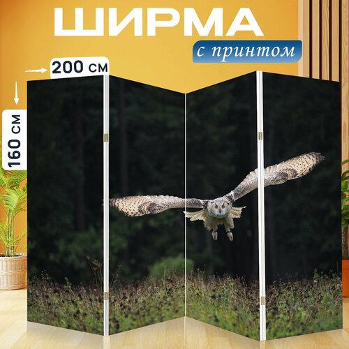 Ширма перегородка с принтом "Птица, животное, изобразительное искусство" на холсте - 200x160 см. для зонирования, раскладная