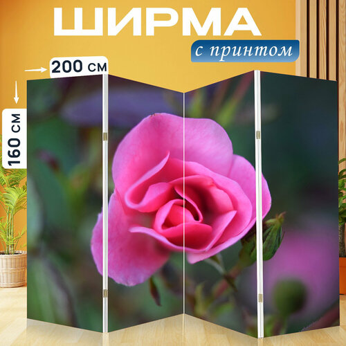 Ширма перегородка с принтом "Роза, розовый, закрывать" на холсте - 200x160 см. для зонирования, раскладная