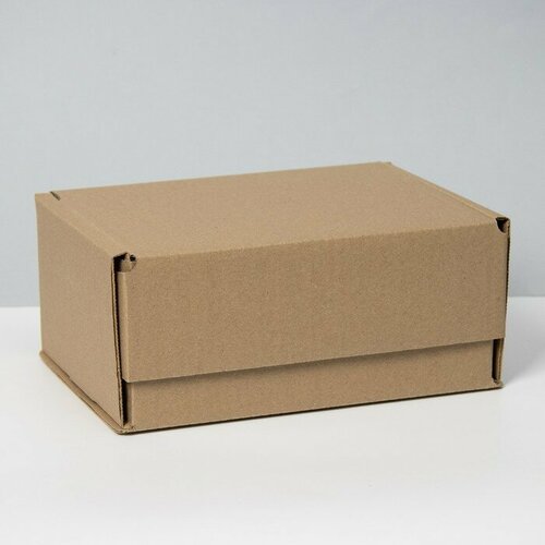 Коробка самосборная, бурая, 22 х 16,5 х 10 см, набор 20 шт 7895092