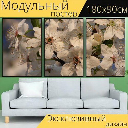 Модульный постер "Весна, цветы, слива" 180 x 90 см. для интерьера