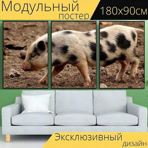 Модульный постер "Свинья, маленькие свиньи, мини" 180 x 90 см. для интерьера