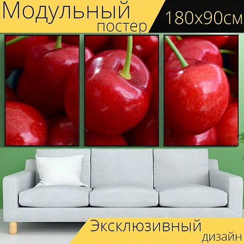 Модульный постер "Вишня, фрукты, еда" 180 x 90 см. для интерьера