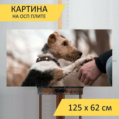 Картина на ОСП 125х62 см. "Собака, млекопитающее, домашнее животное" горизонтальная, для интерьера, с креплениями