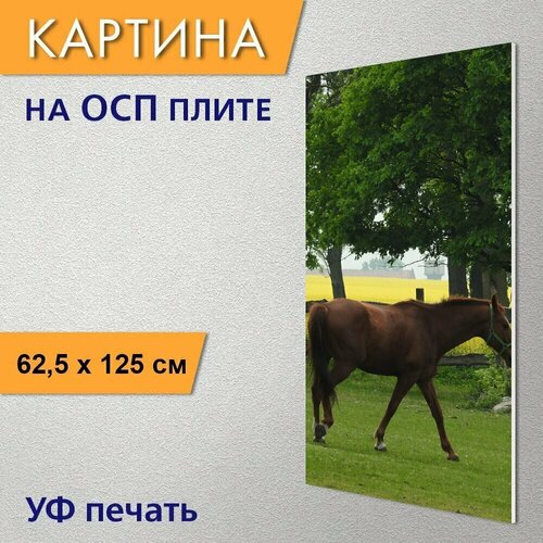 Вертикальная картина на ОСП "Млекопитающие, лужайка, лошадь" 62x125 см. для интерьериа