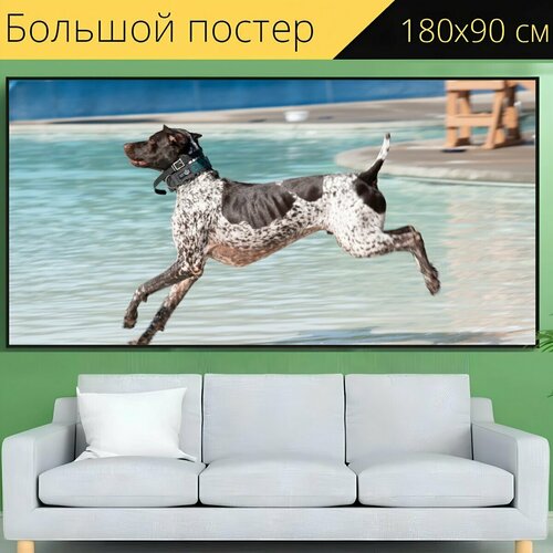 Большой постер "Собака, бег, плавание" 180 x 90 см. для интерьера