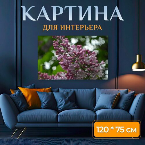 Картина на холсте "Сирень, весна" на подрамнике 120х75 см. для интерьера