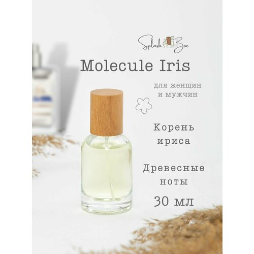 Molecule 01 Iris духи стойкие