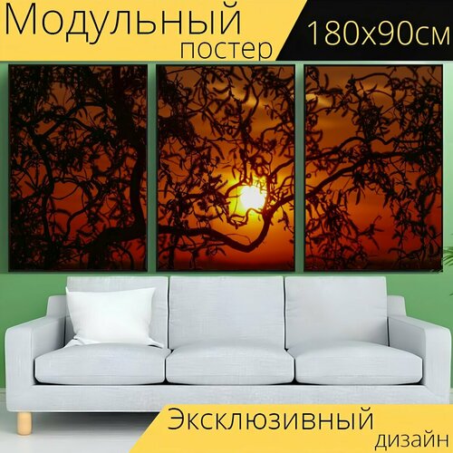 Модульный постер "Заход солнца, штопора верба, дерево" 180 x 90 см. для интерьера