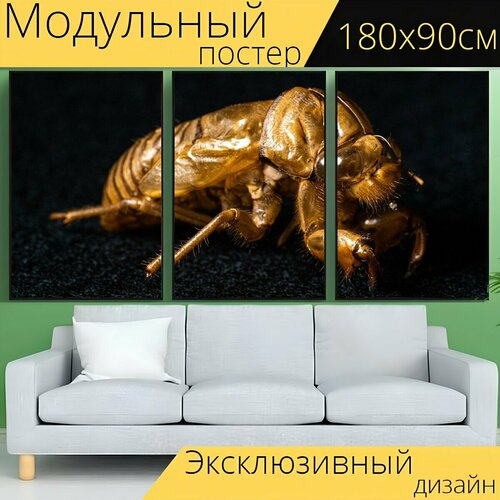 Модульный постер "Цикада, цикада оболочки, насекомое" 180 x 90 см. для интерьера