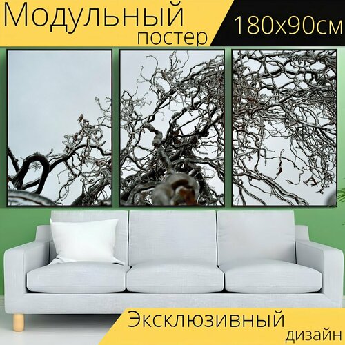 Модульный постер "Дерево, ветки, лед" 180 x 90 см. для интерьера