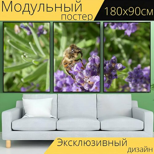 Модульный постер "Пчела, насекомое, лаванда" 180 x 90 см. для интерьера