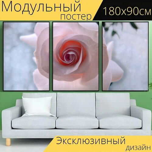 Модульный постер "Молоко розовый, роза, цветок" 180 x 90 см. для интерьера