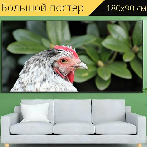 Большой постер "Курица, природа, домашняя птица" 180 x 90 см. для интерьера