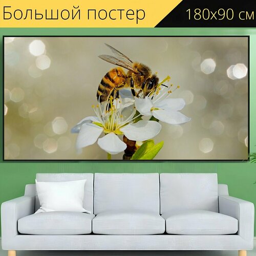 Большой постер "Природа, пчела, цветочная пыльца" 180 x 90 см. для интерьера