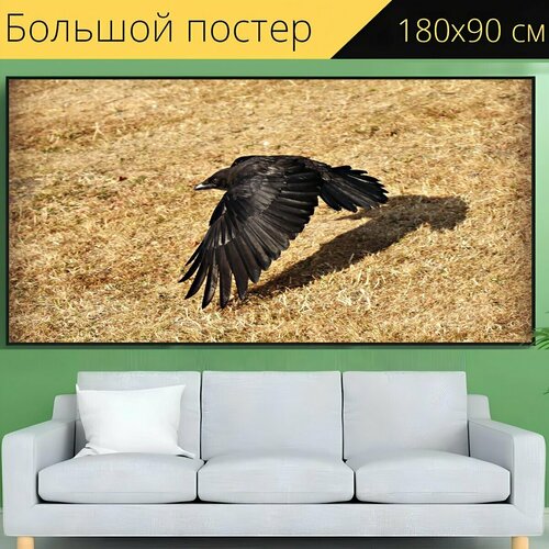 Большой постер "Ворона, птица, летающий" 180 x 90 см. для интерьера