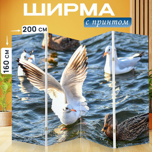 Ширма перегородка с принтом "Чайки, утки, птицы" на холсте - 200x160 см. для зонирования, раскладная