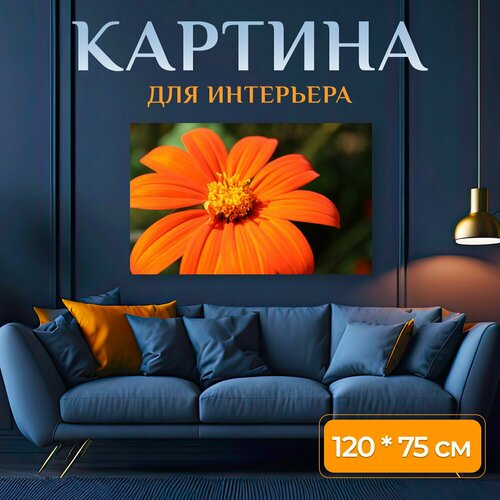 Картина на холсте "Цветок, оранжевый цветок, завод" на подрамнике 120х75 см. для интерьера
