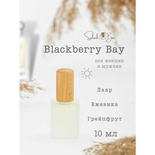 Blackberry Bay духи стойкие