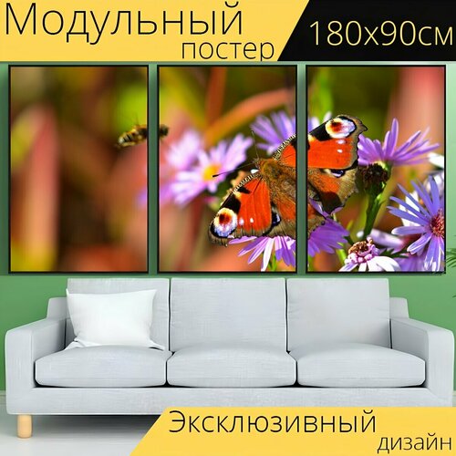 Модульный постер "Природа, бабочка, павлинья бабочка" 180 x 90 см. для интерьера
