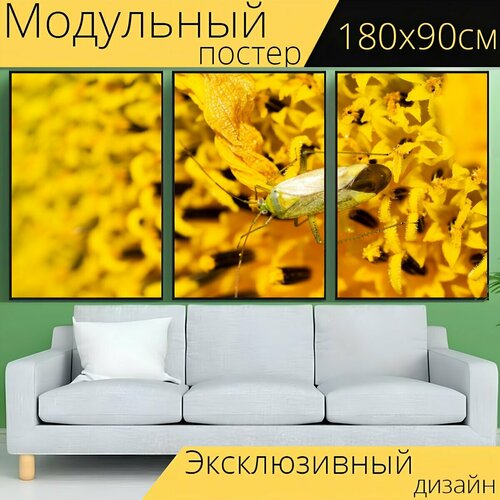 Модульный постер "Подсолнечник, насекомое, желтый цветок" 180 x 90 см. для интерьера