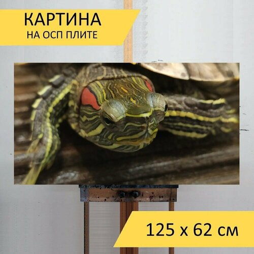 Картина на ОСП 125х62 см. "Черепаха, лицо, красный" горизонтальная, для интерьера, с креплениями