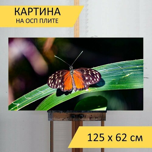 Картина на ОСП 125х62 см. "Бабочка, насекомое, красочный" горизонтальная, для интерьера, с креплениями