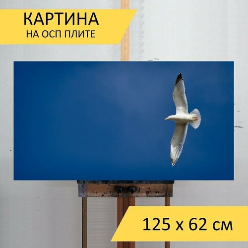 Картина на ОСП 125х62 см. "Чайка, небо, синий" горизонтальная, для интерьера, с креплениями