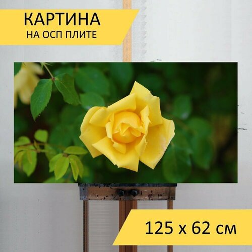 Картина на ОСП 125х62 см. "Роуз, желтая роза, цветок" горизонтальная, для интерьера, с креплениями