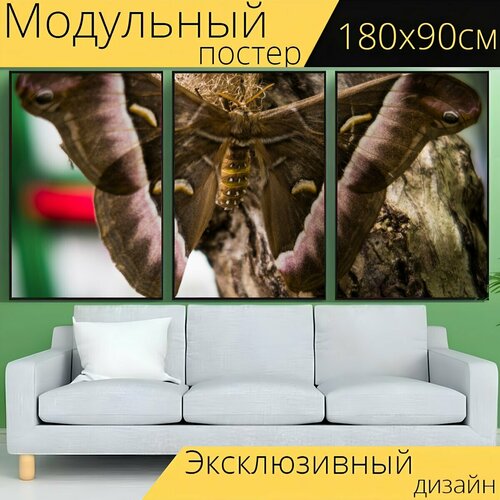 Модульный постер "Моль, насекомые, природа" 180 x 90 см. для интерьера