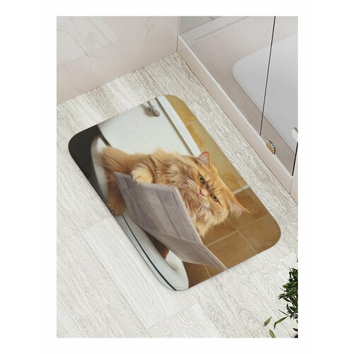 Коврик для ванной комнаты и туалета противоскользящий JoyArty "Возмущённый кот" 52х77 см, серия Мужские праздники