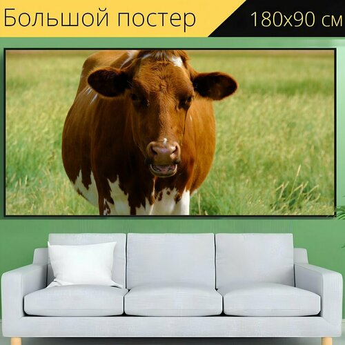 Большой постер "Корова, сельскохозяйственное животное, животное" 180 x 90 см. для интерьера