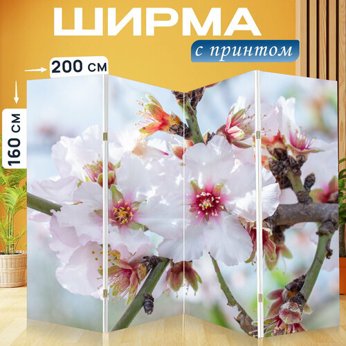 Ширма перегородка с принтом "Цветы миндаля, цветущий миндаль, весна" на холсте - 200x160 см. для зонирования, раскладная