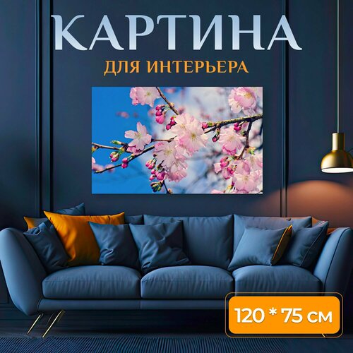 Картина на холсте "Яблоневый цвет, цветок, филиал" на подрамнике 120х75 см. для интерьера