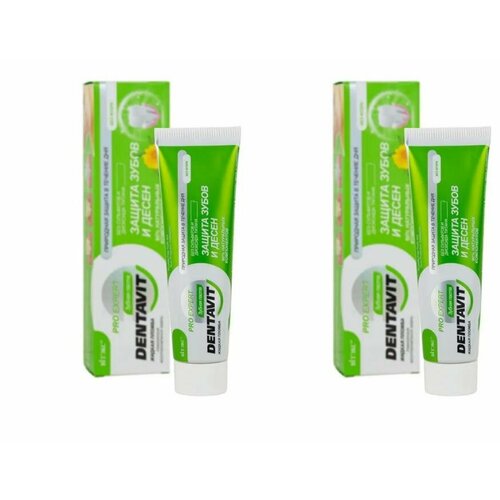 Витэкс Зубная паста Dentavit Pro Expert, защита зубов и десен, без фтора, 85 гр. , 15 шт. в упаковке, 2 уп.
