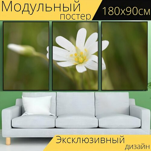Модульный постер "Цветок, белый цветок, белые лепестки" 180 x 90 см. для интерьера