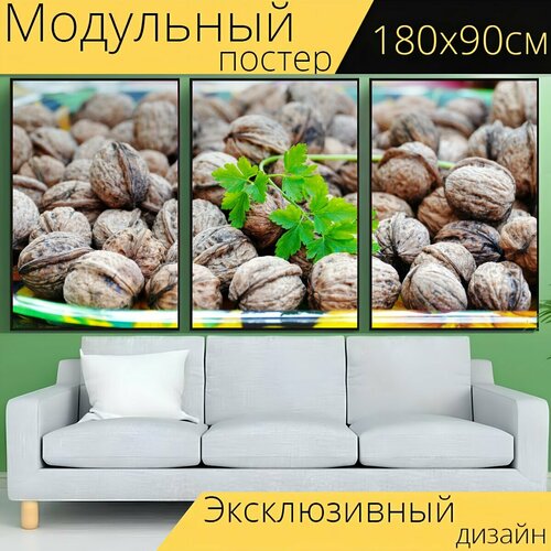Модульный постер "Орехи, грецкие орехи, листья петрушки" 180 x 90 см. для интерьера
