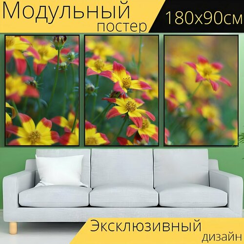 Модульный постер "Трава цветок, естественный, лесной цветок" 180 x 90 см. для интерьера