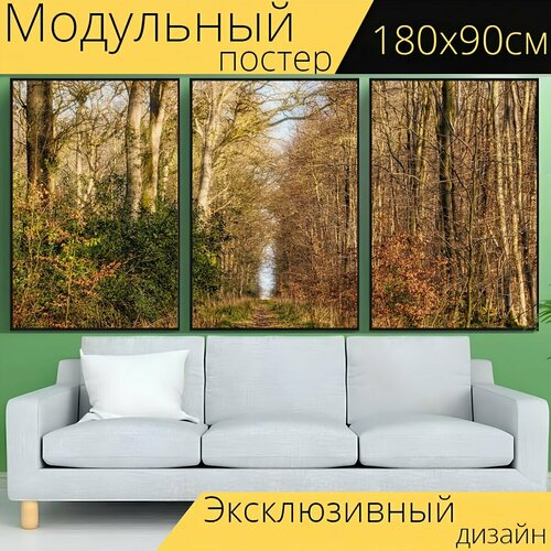 Модульный постер "Дорожка, лес, природа" 180 x 90 см. для интерьера