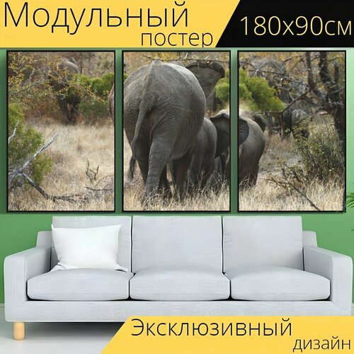 Модульный постер "Слоны, стадо, дикая природа" 180 x 90 см. для интерьера