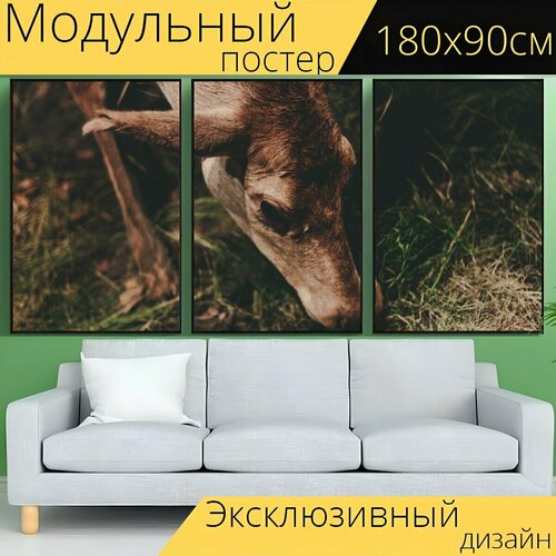 Модульный постер "Животное, дикая природа, олень" 180 x 90 см. для интерьера