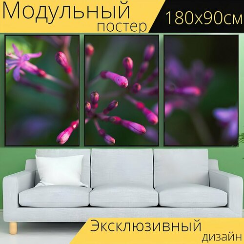 Модульный постер "Расцветает, фиолетовый, цветок" 180 x 90 см. для интерьера